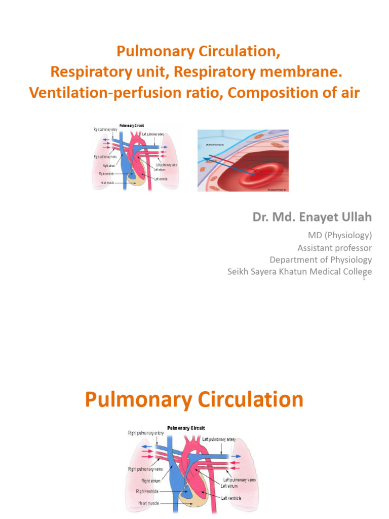 Composition of Air Res Mem Pul Cir VQ Ratio DR Enayet | PDF ...