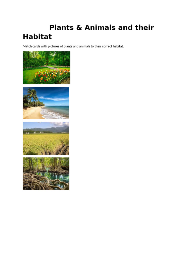 Habitat Matching: Plants & Animals | PDF