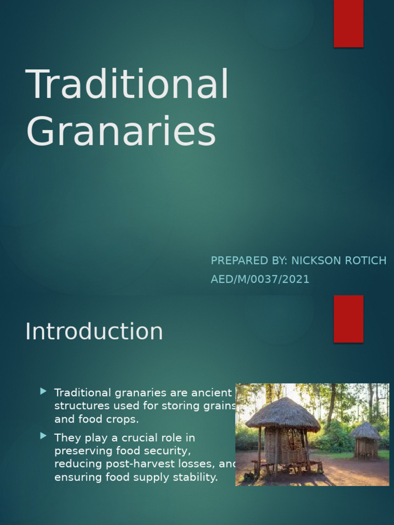 Understanding Traditional Granaries | PDF | Mud | Food Security