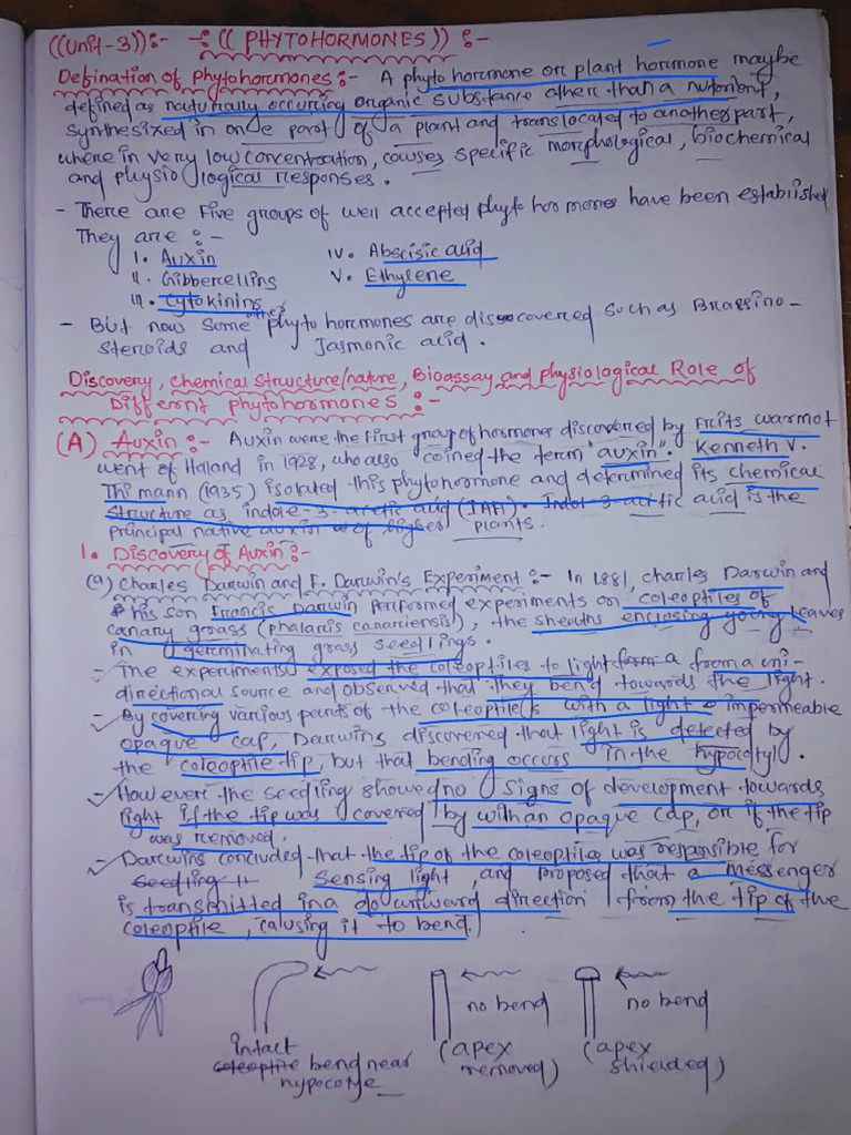 Unit 3 Core 12 | PDF