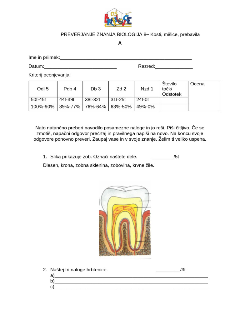 PREVERJANJE ZNANJA BIOLOGIJA 8 A | PDF