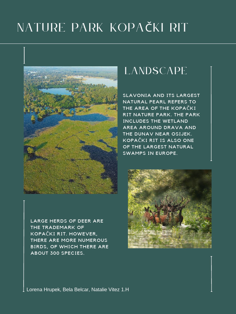 Kopački Rit Nature Park Overview | PDF