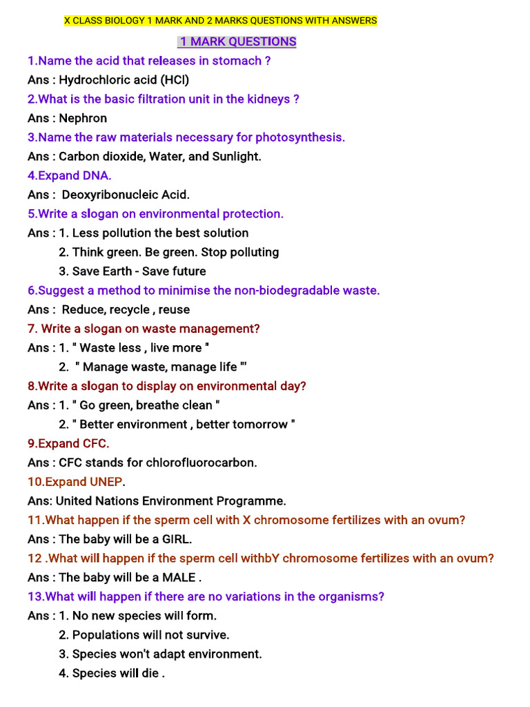 10 Biology Bullet Questions | PDF | Atrium (Heart) | Pancreas