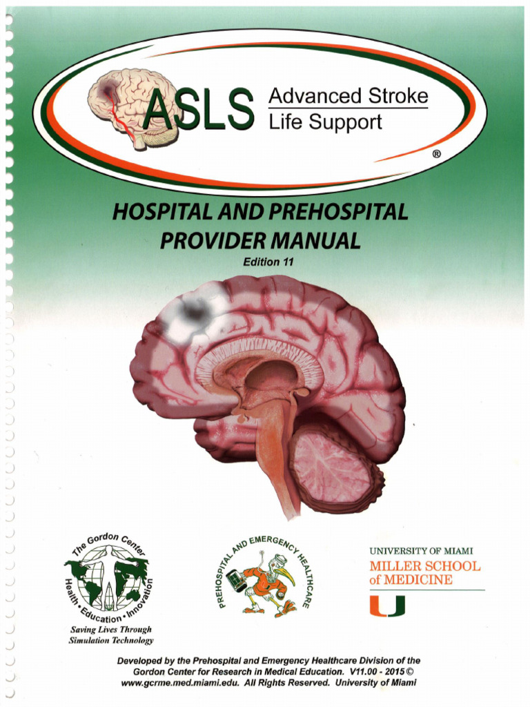 Stroke Manual | PDF