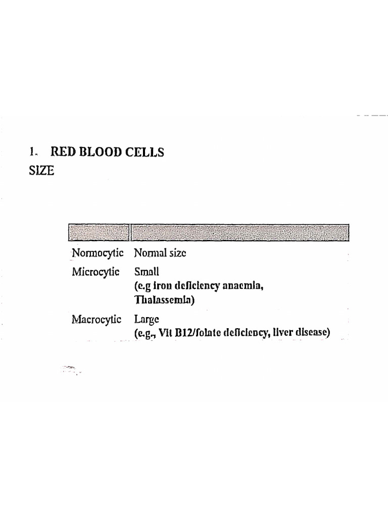 Peripheral Blood Smear | PDF