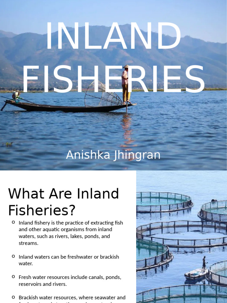 Overview of Inland Fisheries Practices | PDF
