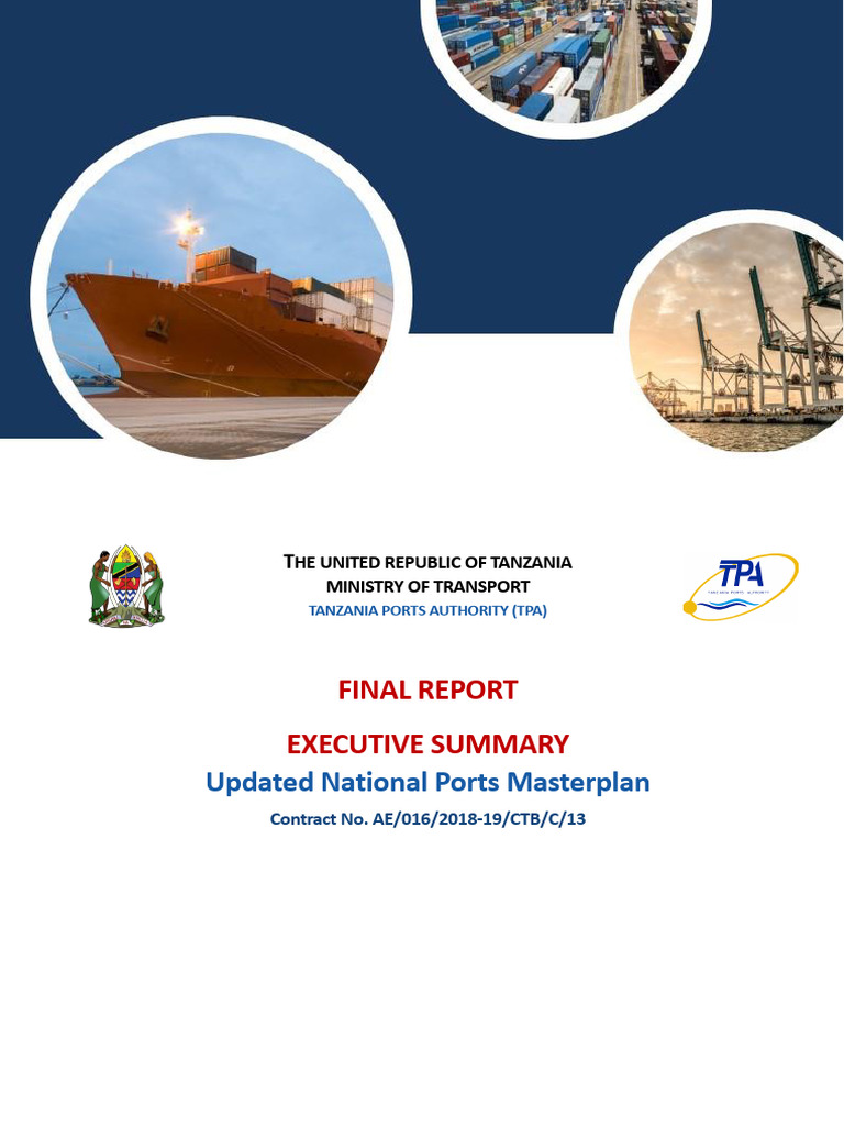 NPMP - Final Report Final - Executive Summary | PDF