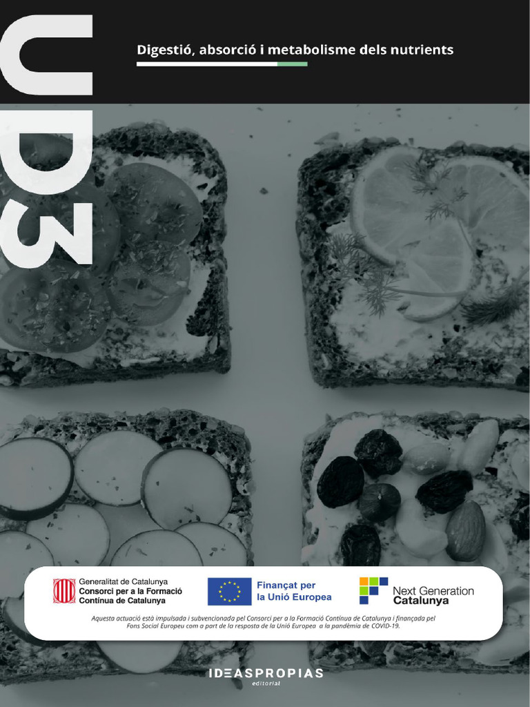 Ud03 FC01 Sanp101 201654 Cat Logo | PDF