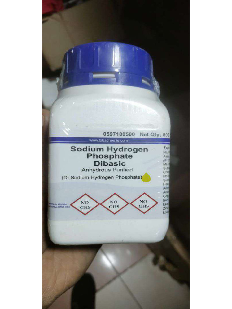 Sodium Hydrogen | PDF