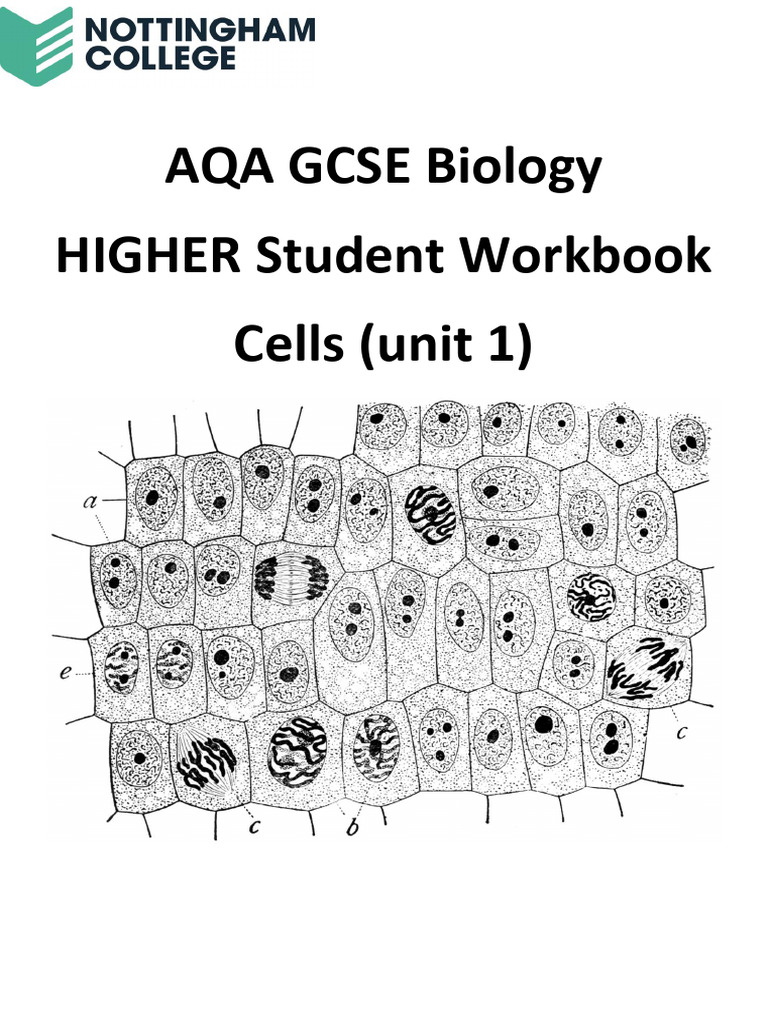 Cell Biology Student Booklet Higher 2023-24 | PDF | Cell (Biology ...