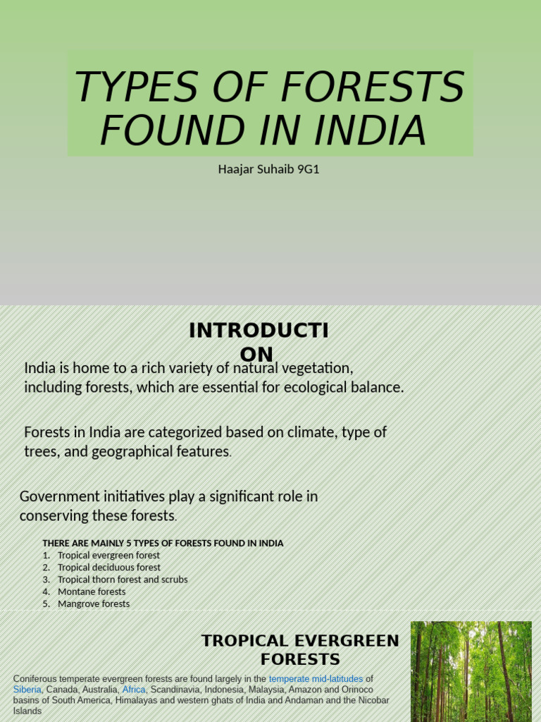 Types of Forest | PDF | Physical Geography | Landscape