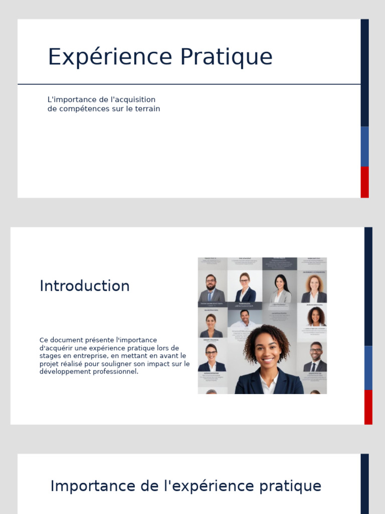 Importance de l'expérience pratique | PDF