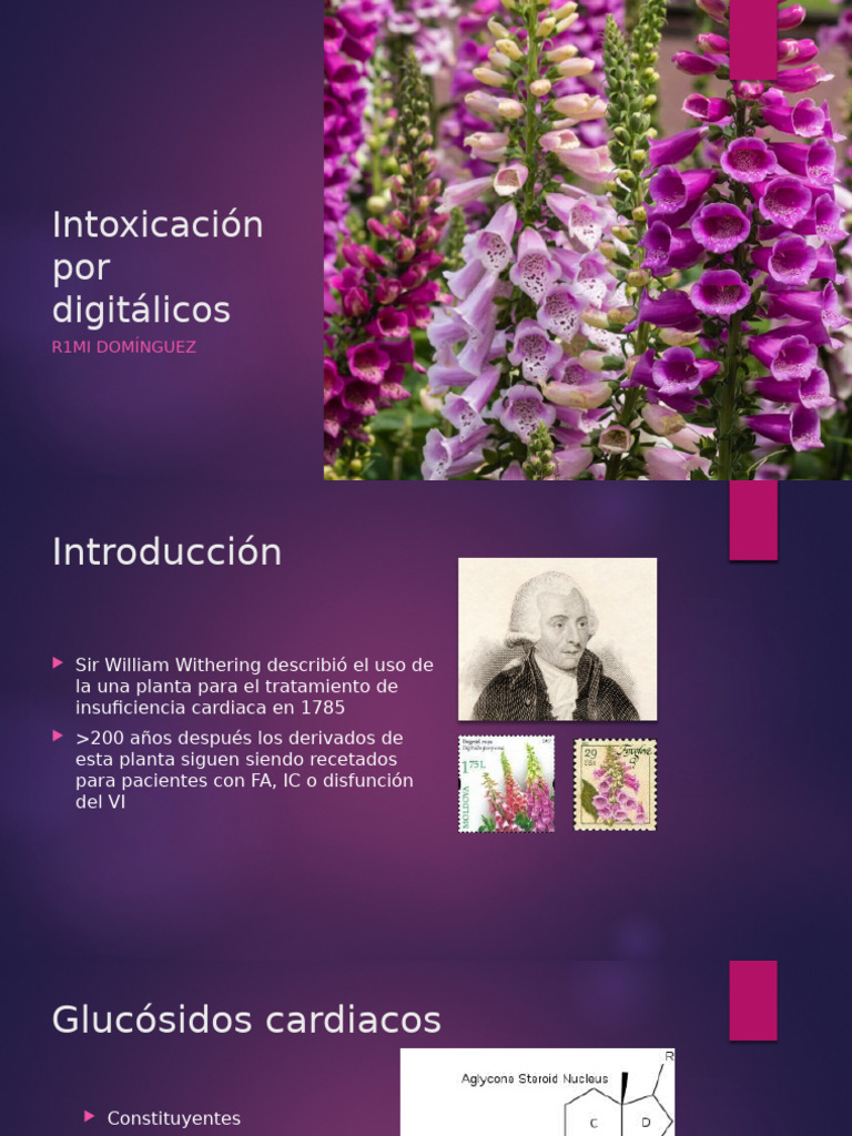 Intoxicación Por Digitálicos | PDF | Cardiología | Especialidades Medicas