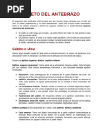 Anatomía del Cúbito: Estructura y Función | PDF | Codo | Extremidades ...