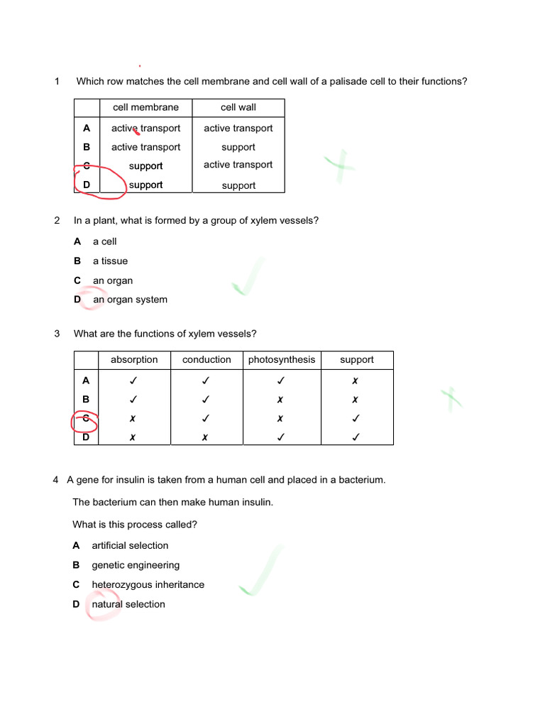 Levels of Biological Organization Explained | PDF | Tissue (Biology ...