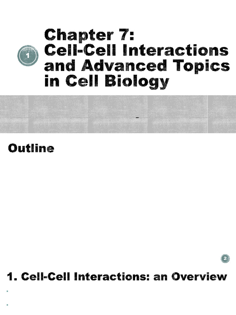 Cell Biology Chapter 7 2nd Year MED 2024 2025 | PDF | Cell Adhesion | Extracellular Matrix