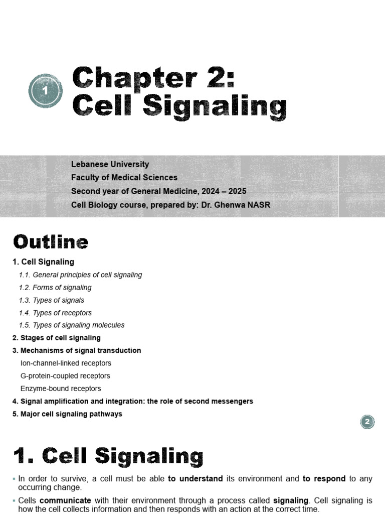 Cell Biology Chapter 2 completed | PDF | Cell Signaling | Signal ...