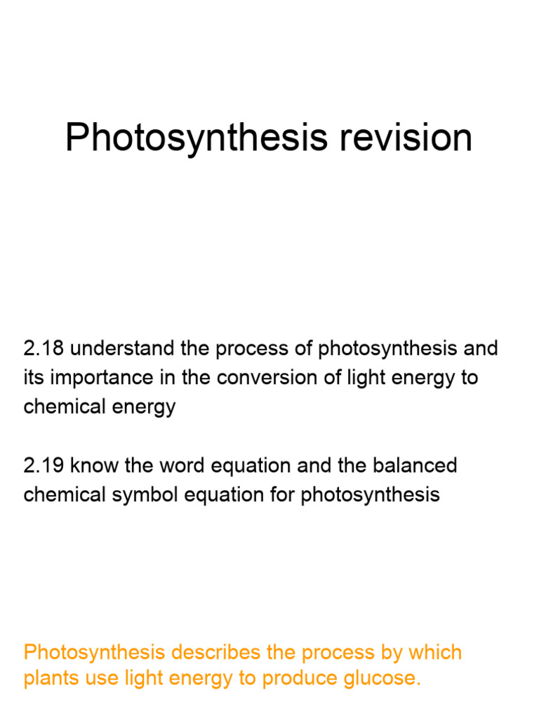 Photosynthesis revision | PDF | Photosynthesis | Stoma