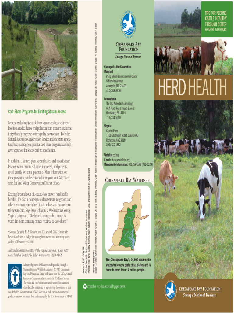 Cattle Health: Improve with Watering Techniques | PDF | Cattle | Dairy ...