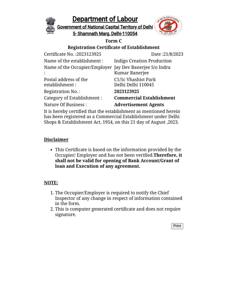 Registration Certificate for Indigo Creation | PDF