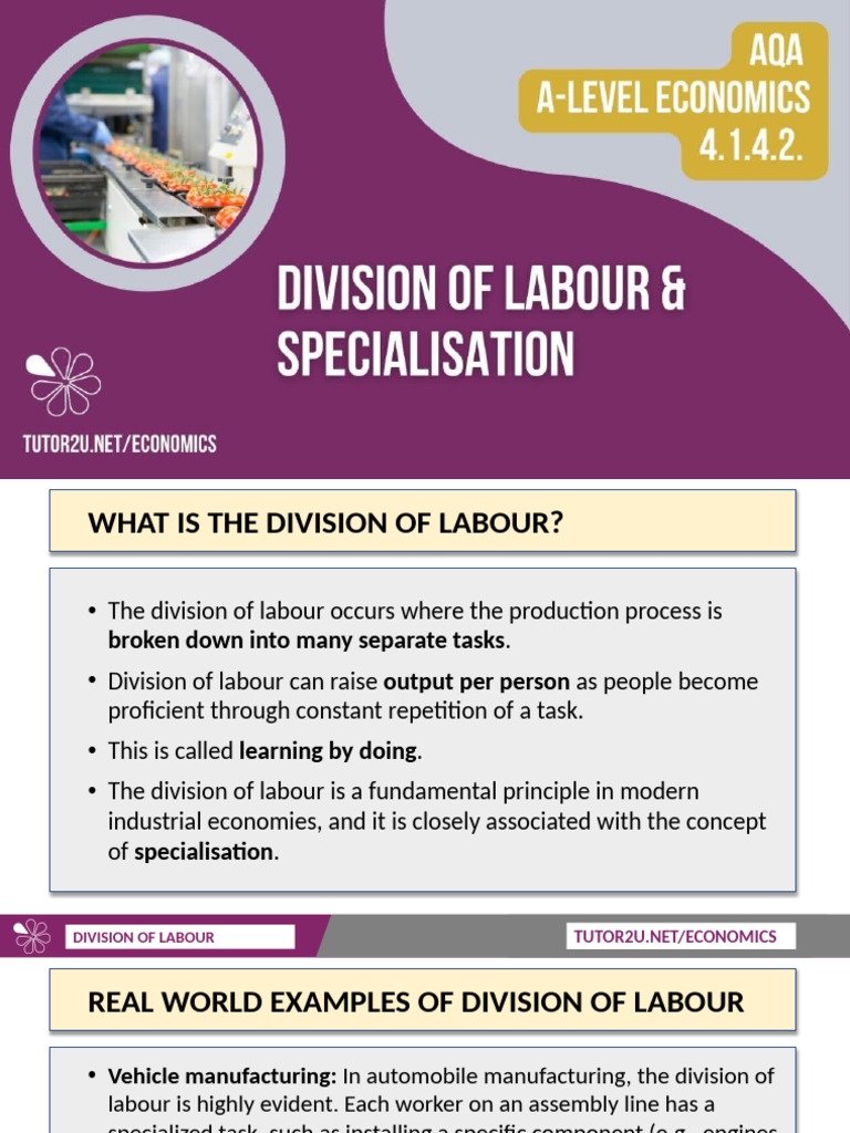 4 1 4 2 Division Labour Specialisation | PDF | Division Of Labour ...