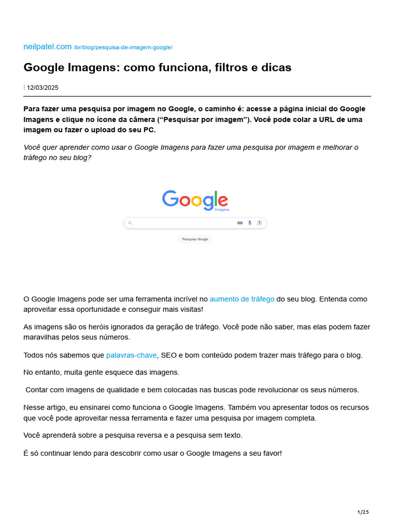 Google Imagens Como Funciona Filtros e Dicas | PDF | SEO | Imagem