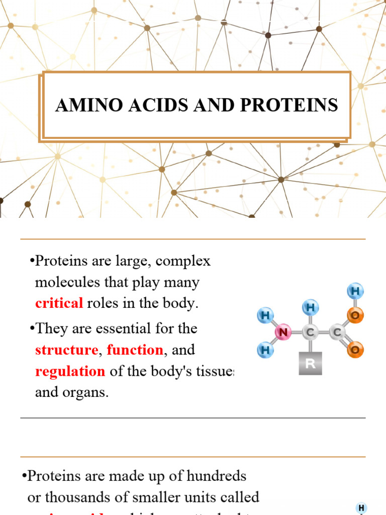 Amino Acids and Proteins | PDF | Protein Structure | Amino Acid