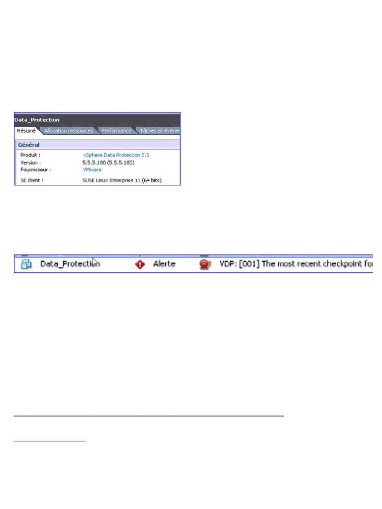 Fixing VMware VDP Checkpoint Errors | PDF | Computer Architecture ...