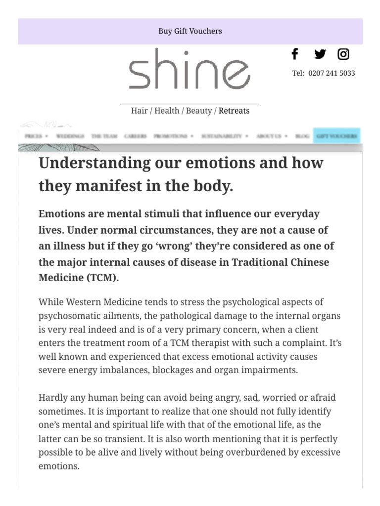 Understanding Emotions Pdf Traditional Chinese Medicine Mania