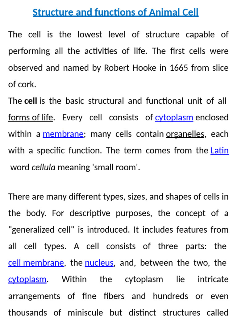 Overview of Animal Cell Structure and Functions | PDF | Endoplasmic ...