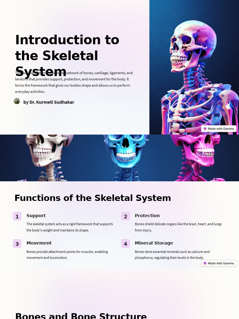 Overview of the Skeletal System | PDF | Bone | Skeleton