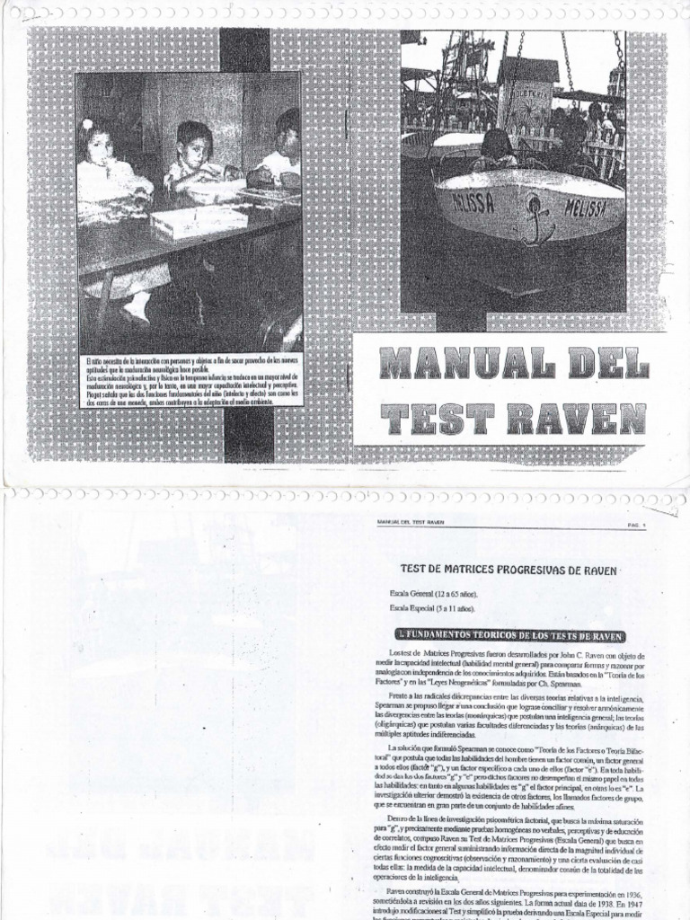 Test Matrices Progresivas de Raven Completo | PDF