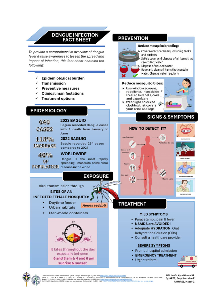 Dengue Infection Fact Sheet | PDF | Public Health | Human Diseases And Disorders