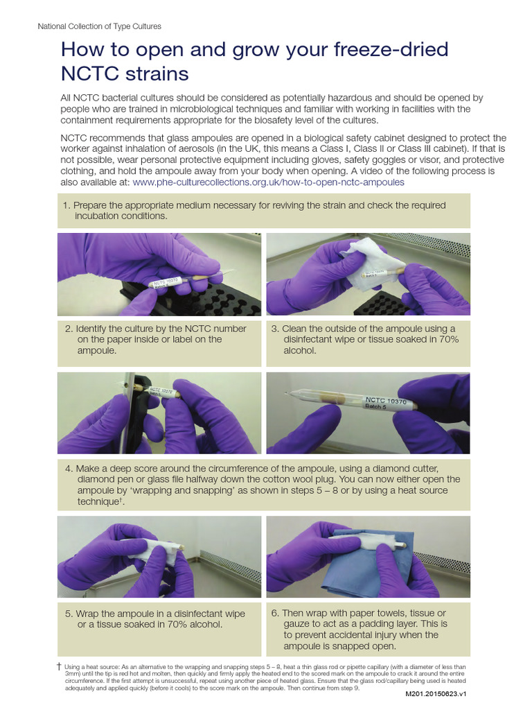 m201 - How To Open NCTC Glass Ampoules With Photos - Small | PDF