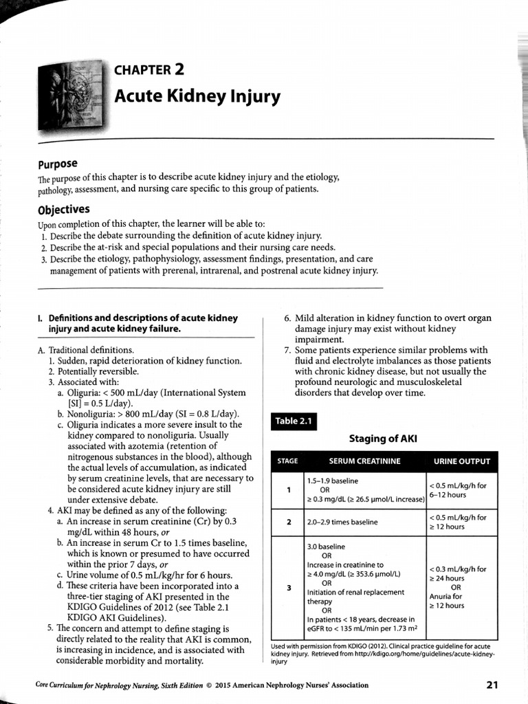 Module 4 - Chapter 2 | PDF