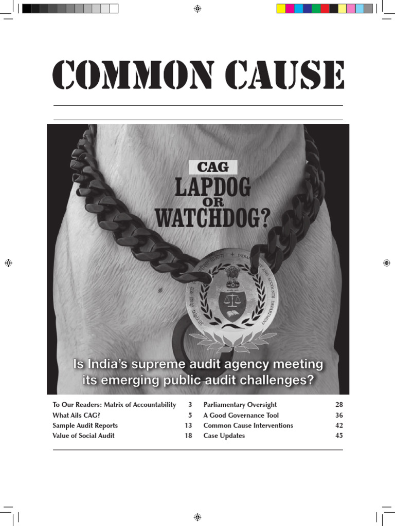 CAG and Parliamentary Oversight | PDF | Government
