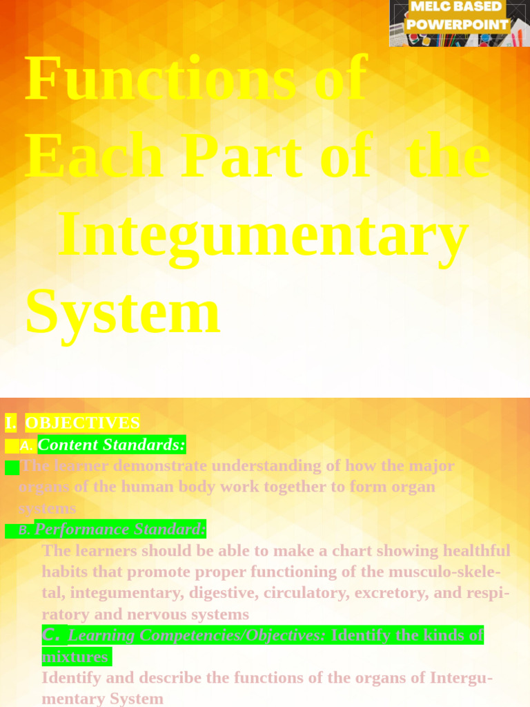 Functions of the Integumentary System | PDF | Epidermis | Skin