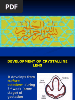 Nuclear Sclerosis Cataract Grading Guide | PDF