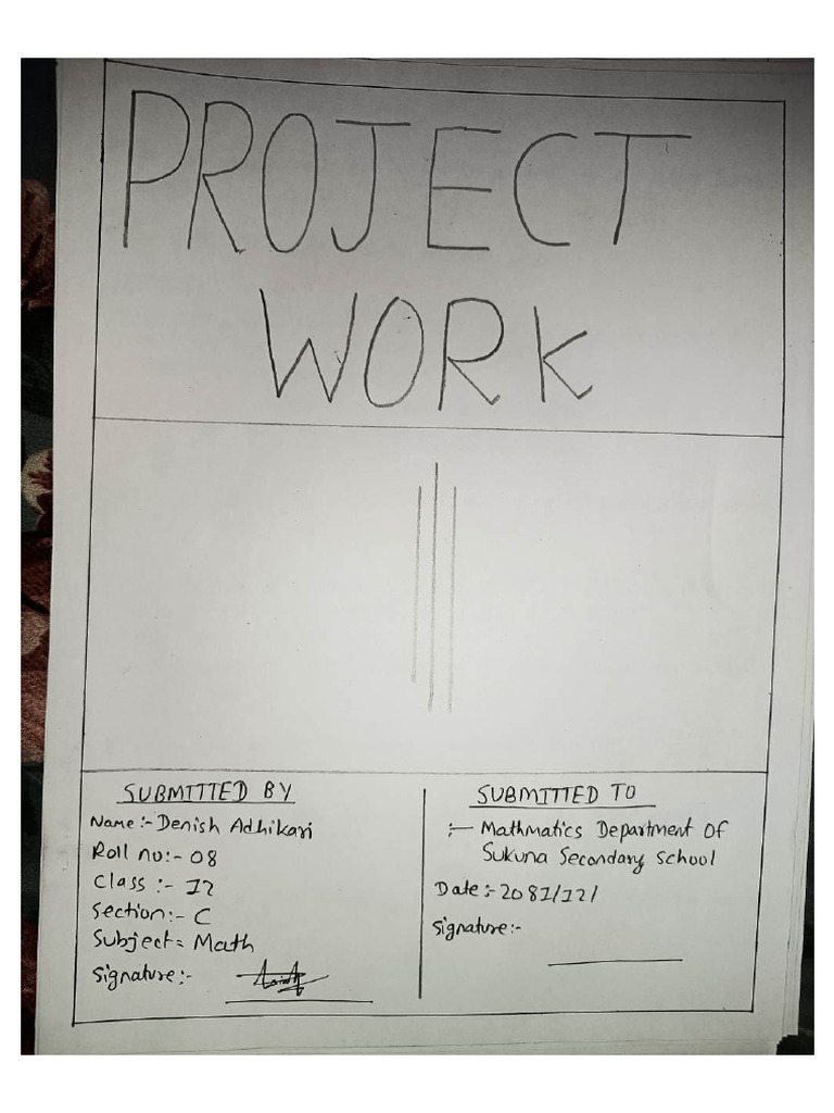 Math Project Compressed | PDF