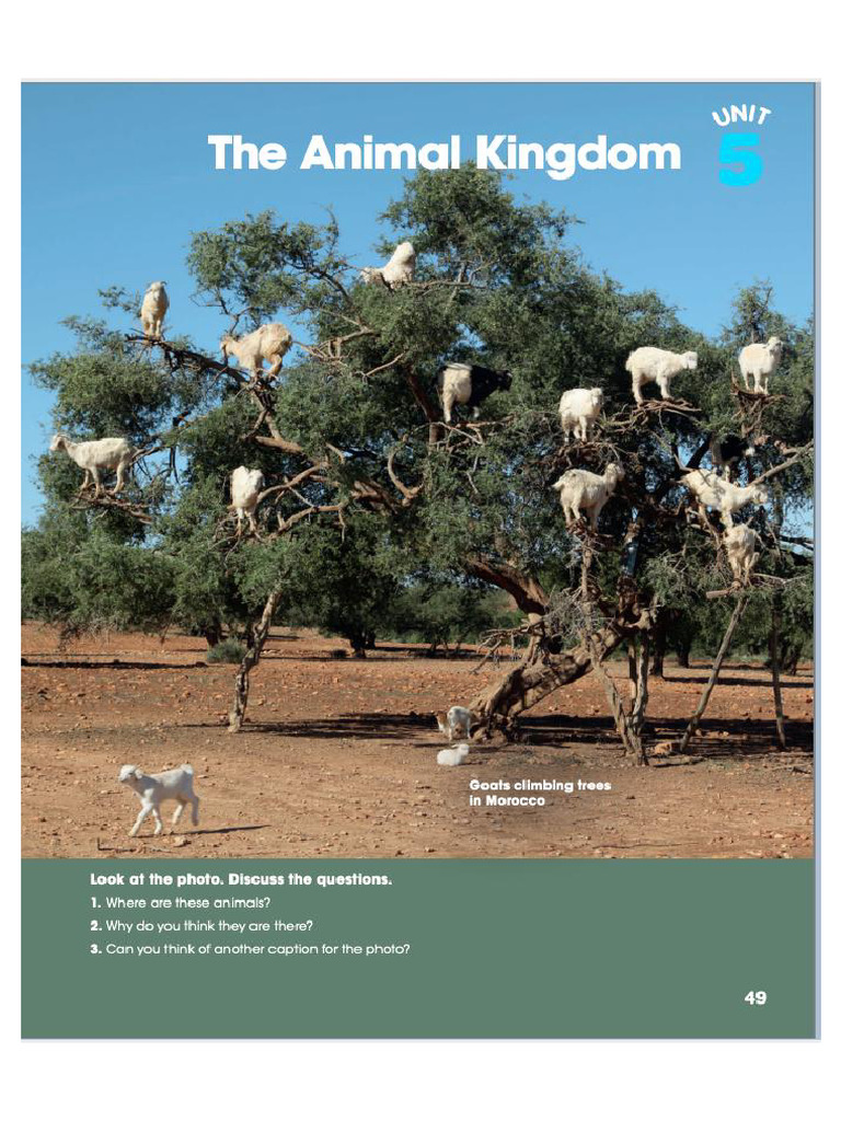 Nat Geo Look 5 Unit 5 | PDF