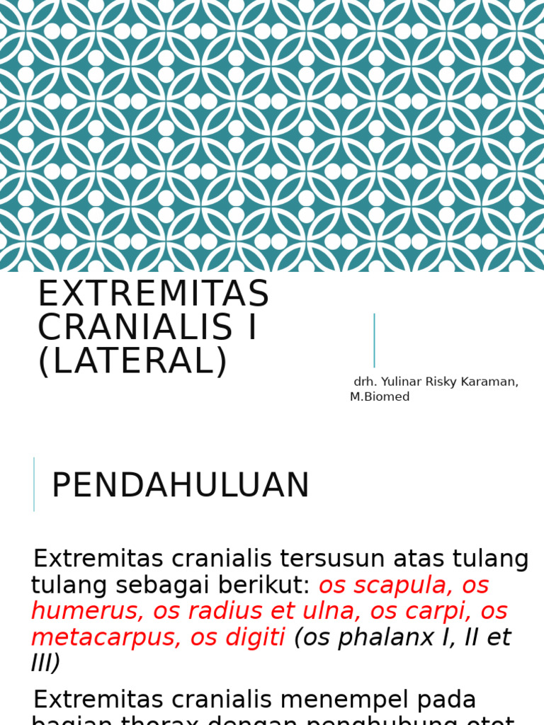 Anatomi Extremitas Cranialis pada Hewan | PDF