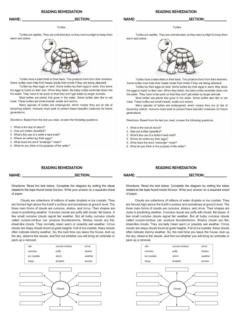Reading Remediation Overview | PDF