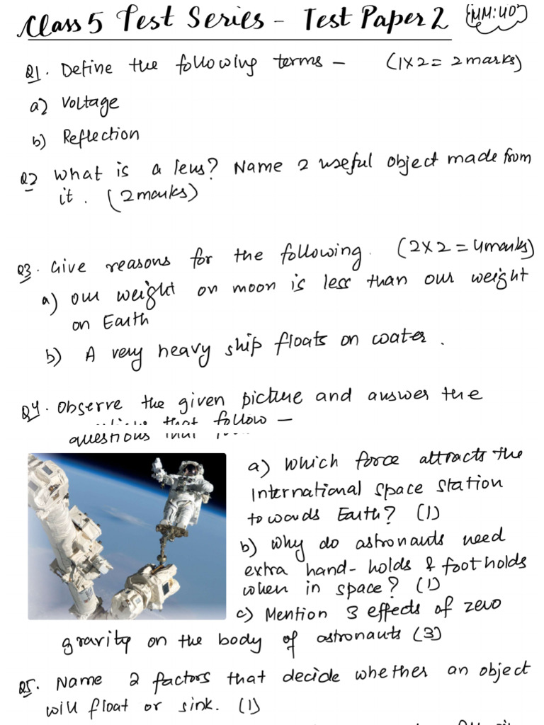 Class 5 Test Series - Test Paper 2 | PDF