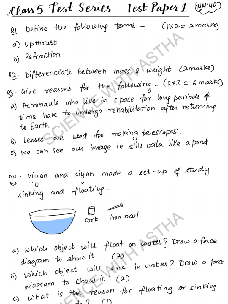 Class 5 Test Series Paper 1 | PDF