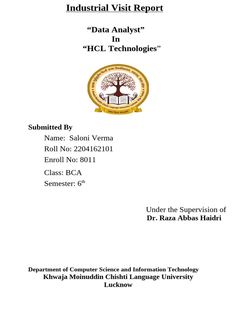 Industrial Report Apoorva | PDF | Data Analysis | Analytics