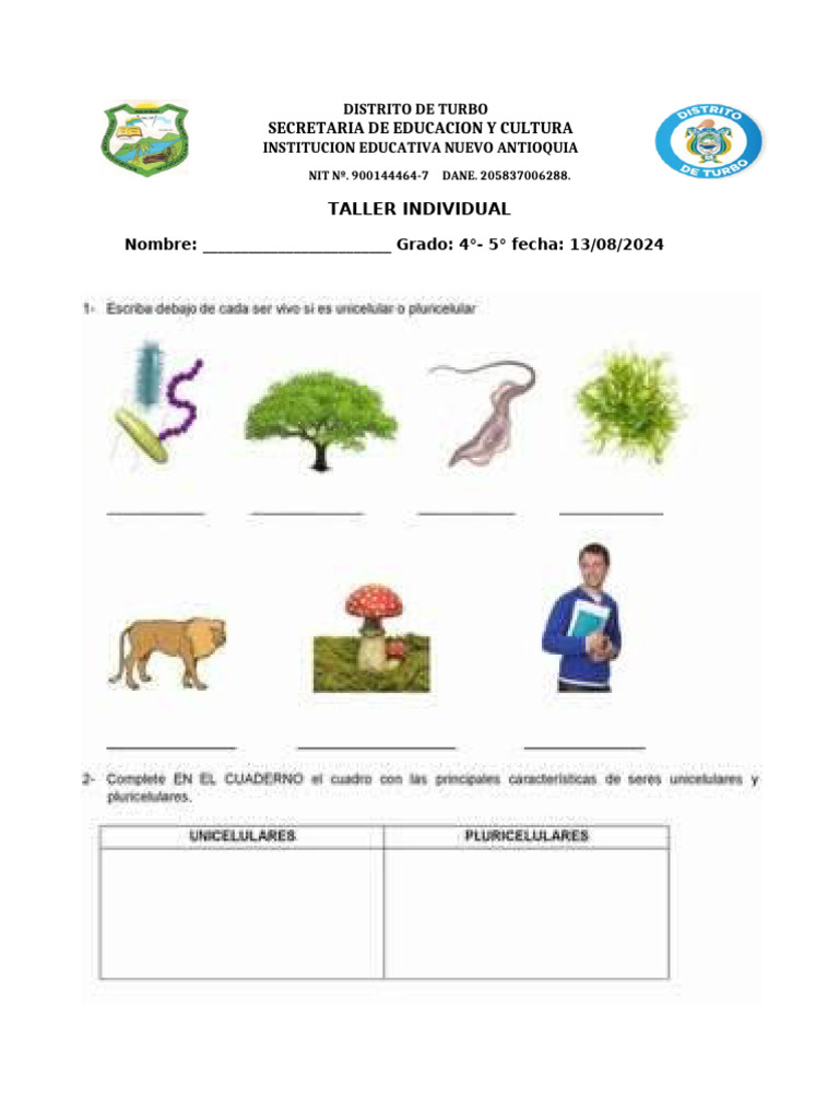 Taller Individual Organismos Unicelulares y Pluri | PDF
