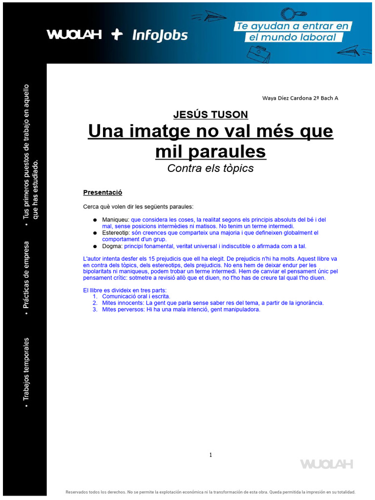 Resumen Una Imatge No Val Més Que Mil Paraules | PDF