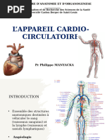 Vascularisation du membre inférieur | PDF | Main | Jambe humaine