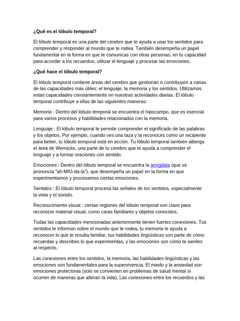 Funciones y anatomía del lóbulo temporal | PDF | Lóbulo temporal | Cerebro