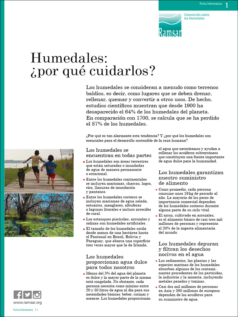 Importancia de los Humedales para la Vida | PDF | Humedal | Agua
